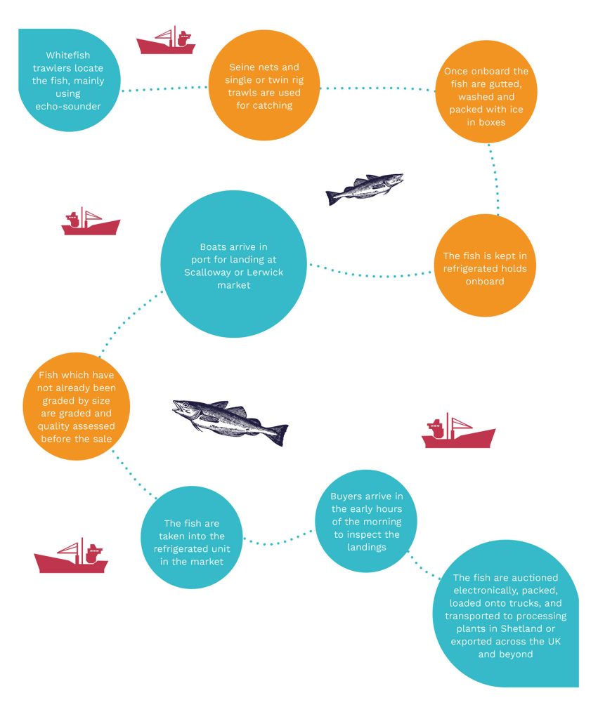 Whitefish - Seafood Shetland